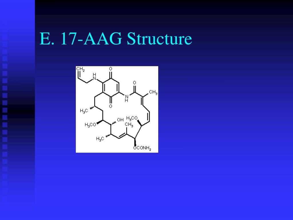 PPT - Heat Shock Proteins, Hsp90 Inhibitors, and Protein Degradation ...