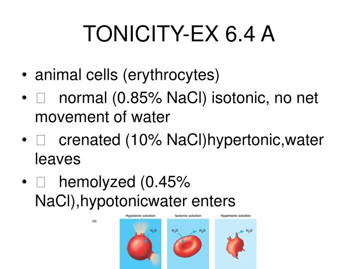 PPT - Diffusion & Osmosis PowerPoint Presentation - ID:6600704