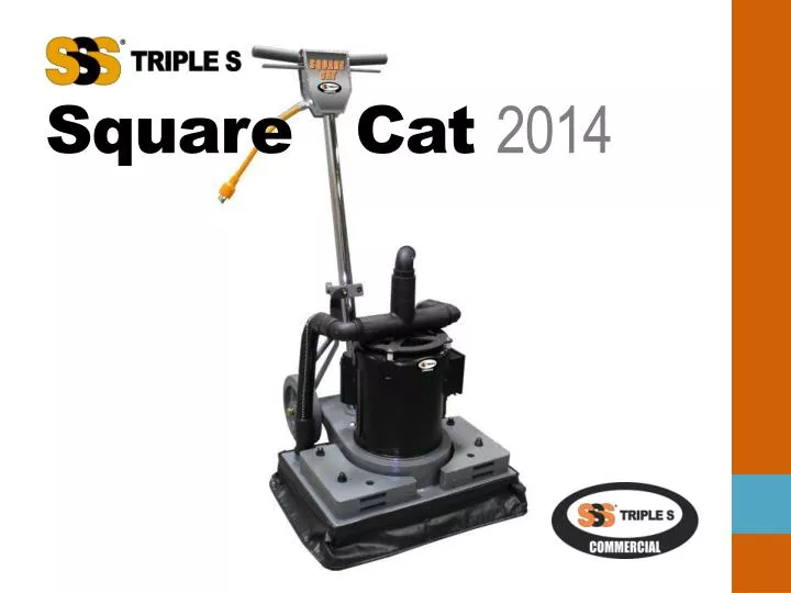 PPT - Square Cat 2014 PowerPoint Presentation, free download - ID:6601322