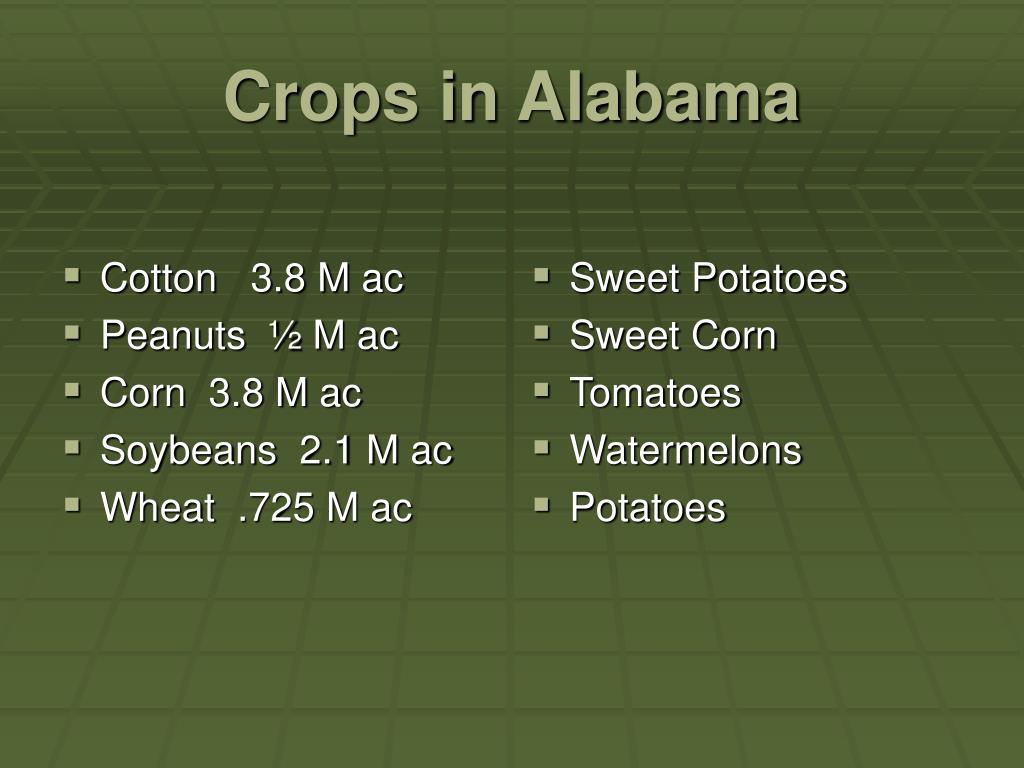 PPT - Things you should know about crop production in Alabama ...