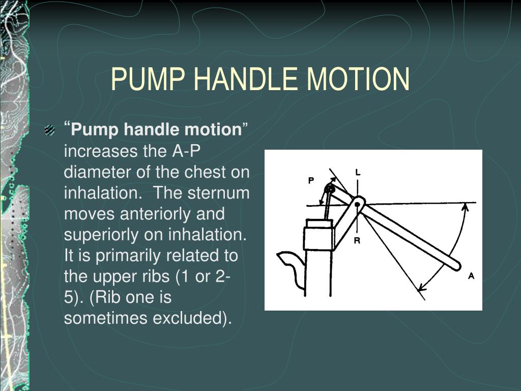 PPT - Indiana Osteopathic Association PowerPoint Presentation, free ...