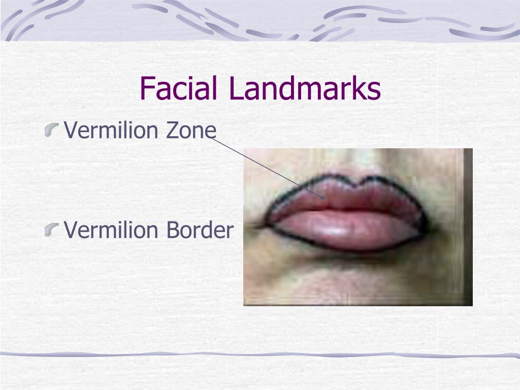 PPT - DENT 1100 Dental Anatomy PowerPoint Presentation, free download ...