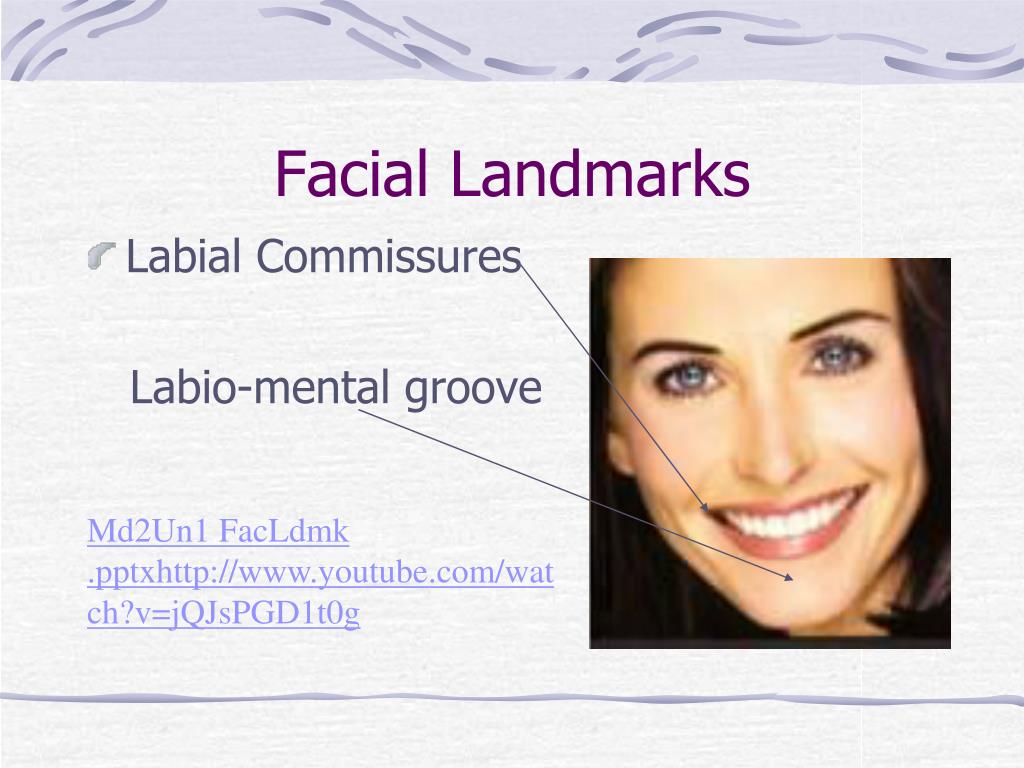 PPT - DENT 1100 Dental Anatomy PowerPoint Presentation, free download ...