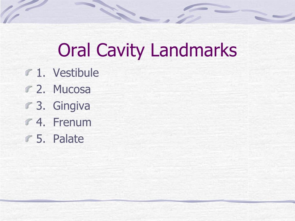 PPT - DENT 1100 Dental Anatomy PowerPoint Presentation, free download ...