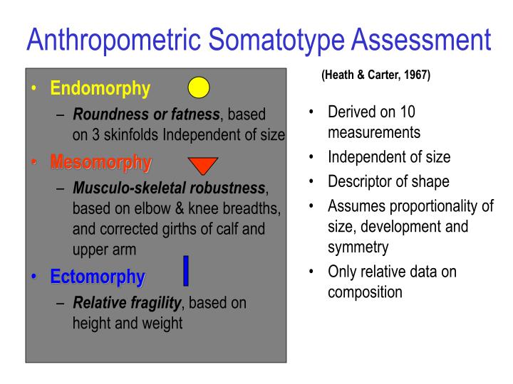 PPT - Arthur Stewart PowerPoint Presentation - ID:6602382