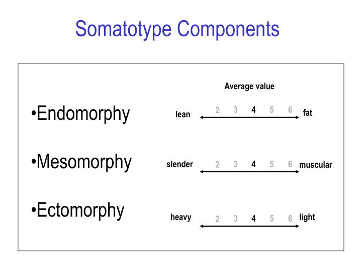 PPT - Arthur Stewart PowerPoint Presentation - ID:6602382