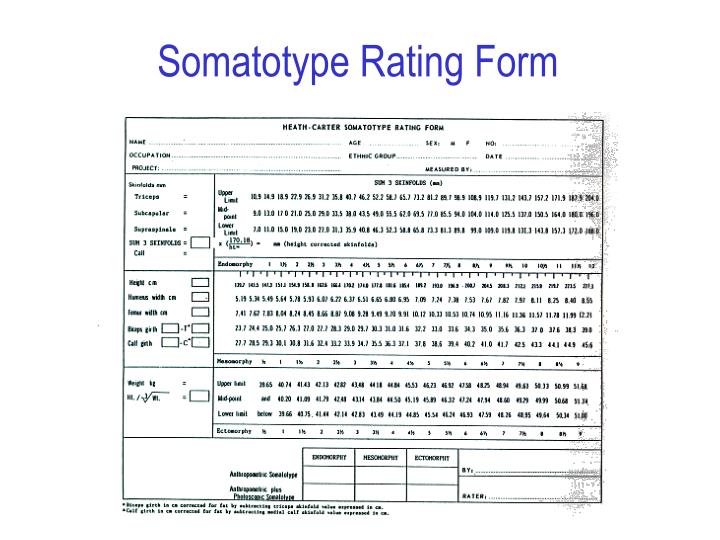 PPT - Arthur Stewart PowerPoint Presentation - ID:6602382