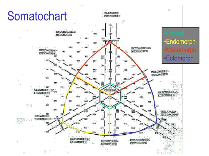 PPT - Arthur Stewart PowerPoint Presentation - ID:6602382