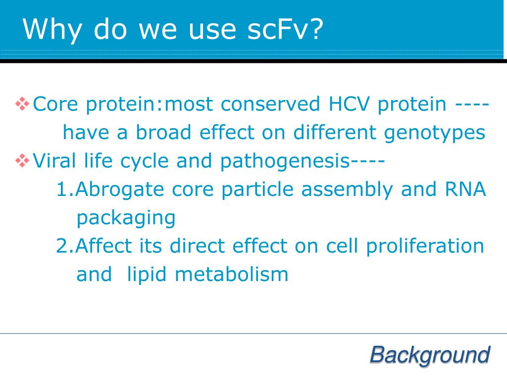 PPT - Juliane Karthe, Kathi Tessmann, et al. HEPATOLOGY, Vol. 48, No. 3 ...