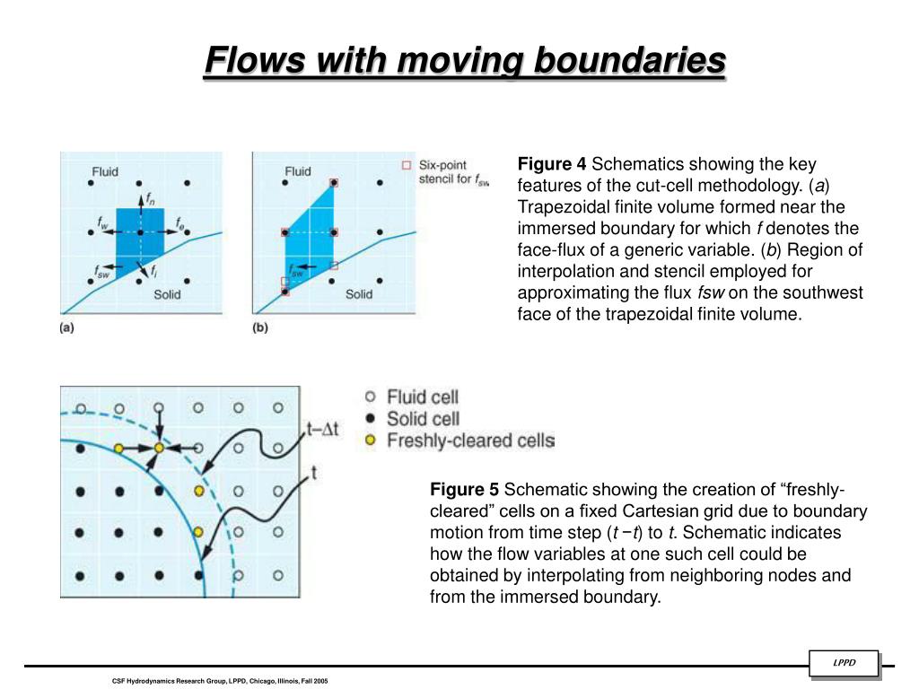 PPT - Immersed Boundary Method PowerPoint Presentation, free download ... PPT - Immersed Boundary Method PowerPoint Presentation, free download ...