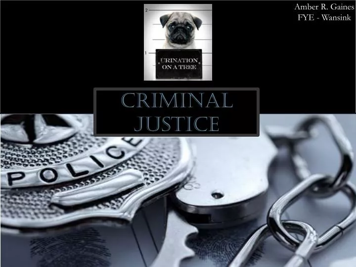 PPT - Criminal Justice PowerPoint Presentation, free download - ID:6608514