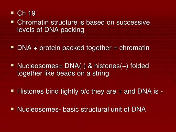 PPT - Ch 19 Chromatin structure is based on successive levels of DNA ...