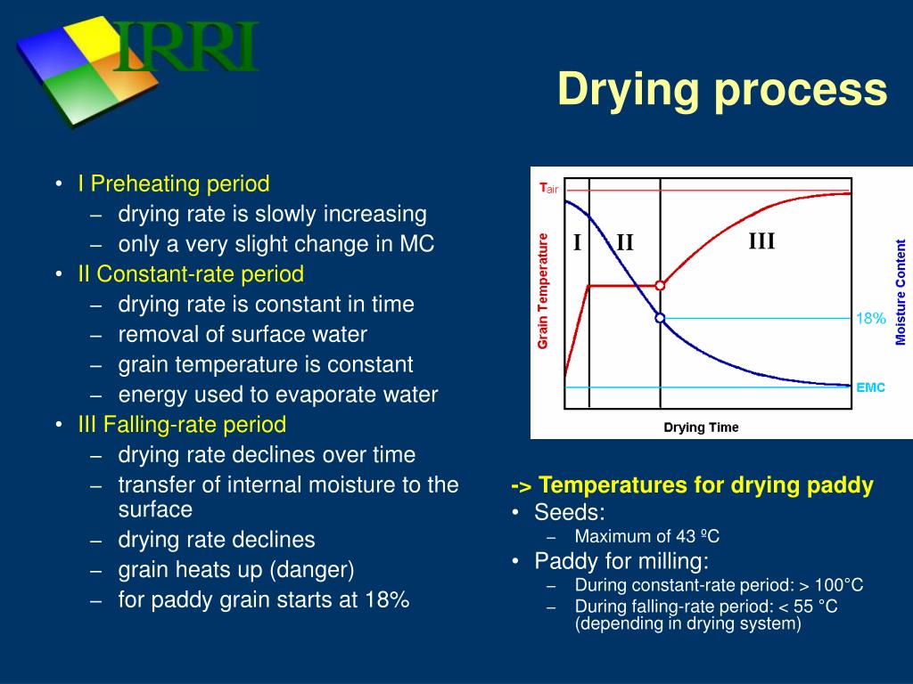 Ppt Drying Basics Powerpoint Presentation Free Download Id 6616435