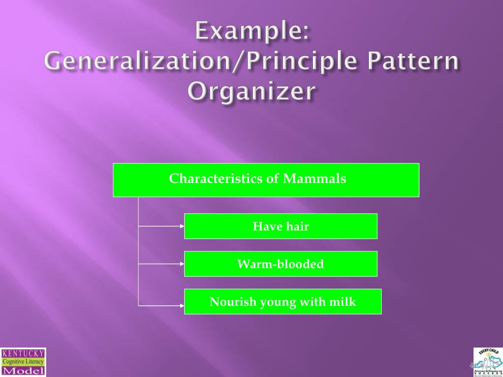 The Ideal Example Of Generalization Pattern Organizer