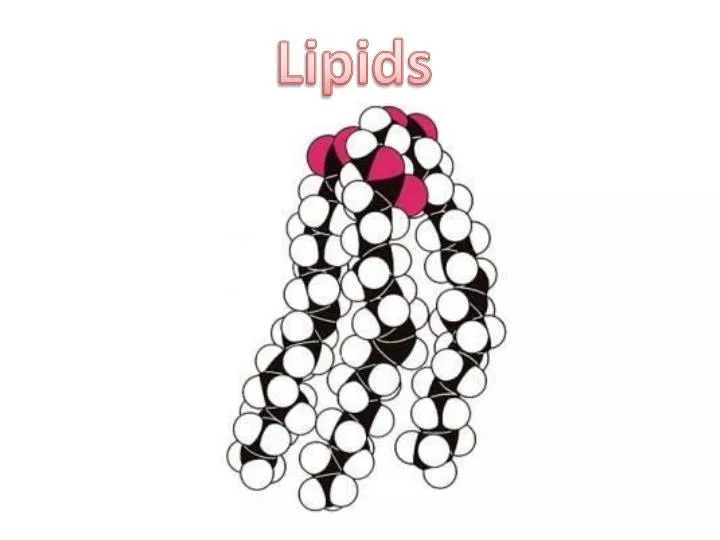 PPT - Lipids PowerPoint Presentation, free download - ID:6619297