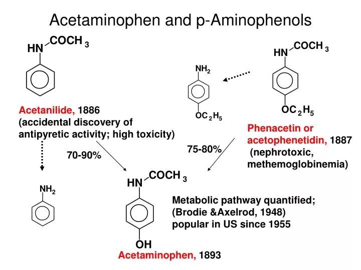 PPT - Acetaminophen and p-Aminophenols PowerPoint Presentation, free ...