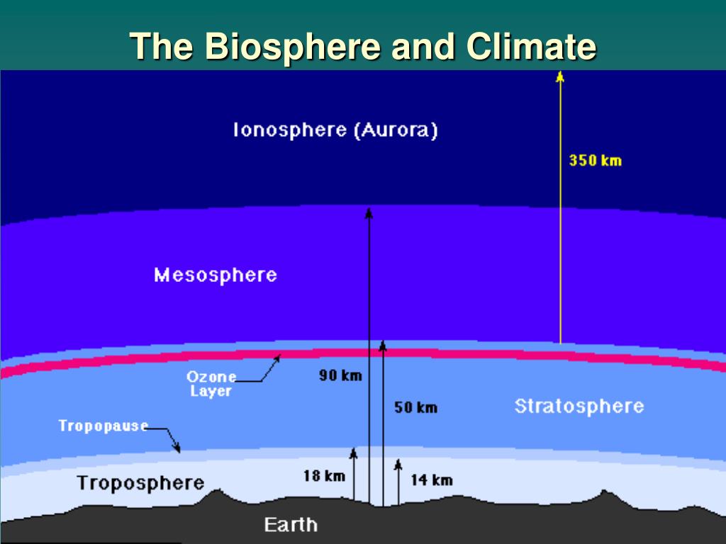PPT - Biology 20 Energy and Matter Exchange in the Biosphere PowerPoint ...