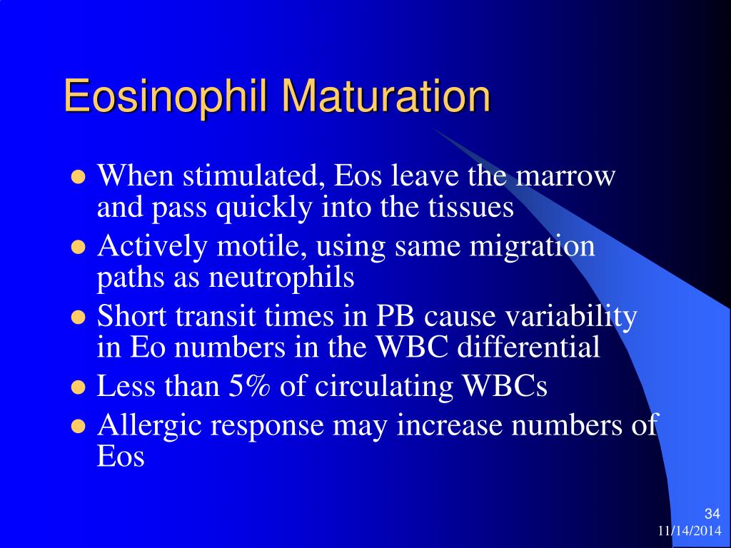 PPT - Hematology 425 Leukopoiesis PowerPoint Presentation, free ...