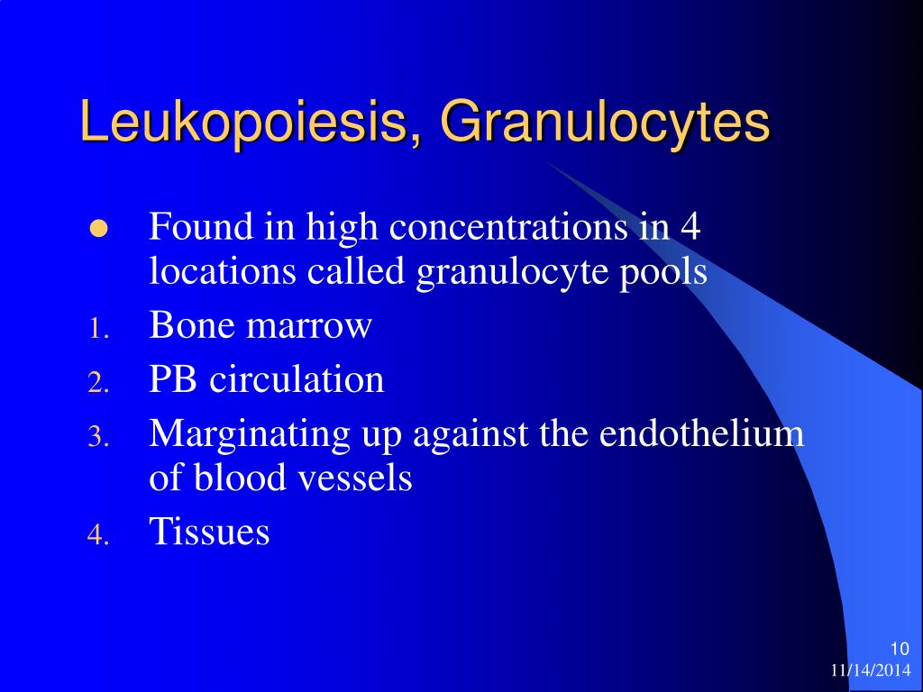 PPT - Hematology 425 Leukopoiesis PowerPoint Presentation, free ...
