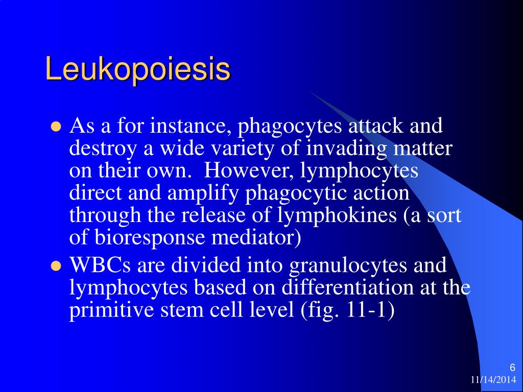 PPT - Hematology 425 Leukopoiesis PowerPoint Presentation, free ...