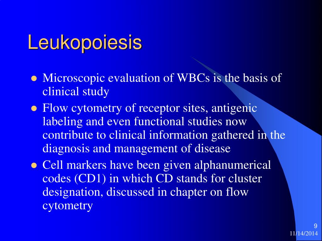 PPT - Hematology 425 Leukopoiesis PowerPoint Presentation, free ...