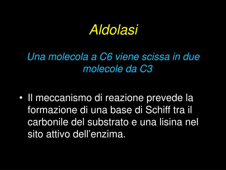 PPT - La Glicolisi PowerPoint Presentation - ID:6620267