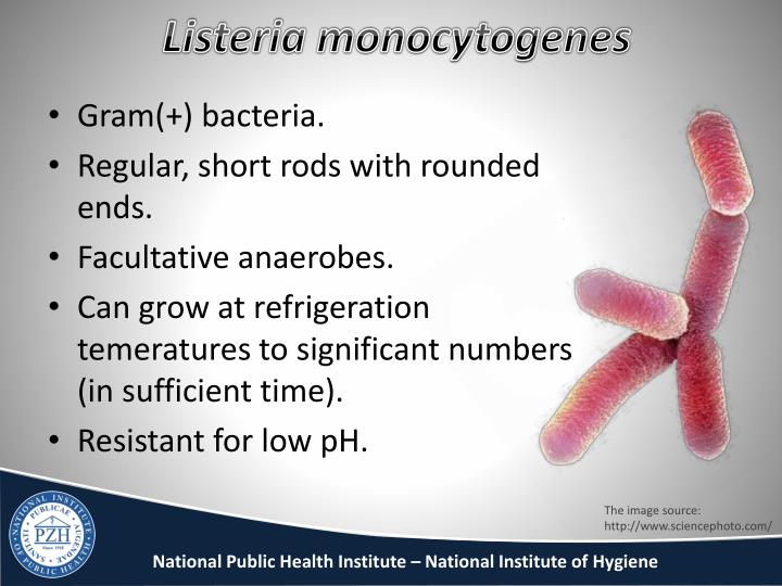 PPT - Listeria monocytogenes in food as public safety risk PowerPoint ...