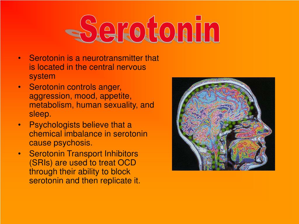 PPT - Psilocybin Mushrooms are Effective in the Treatment of Obsessive ...