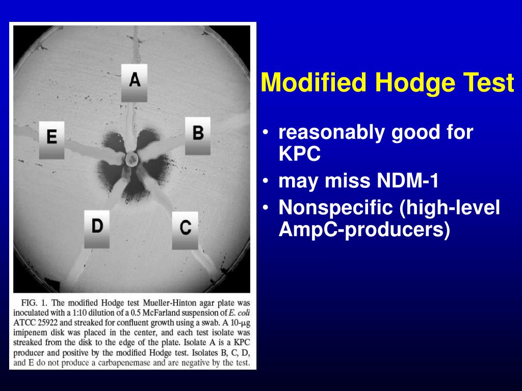 PPT - Emerging Carbapenem Resistance: What Do We Do Now? PowerPoint ...
