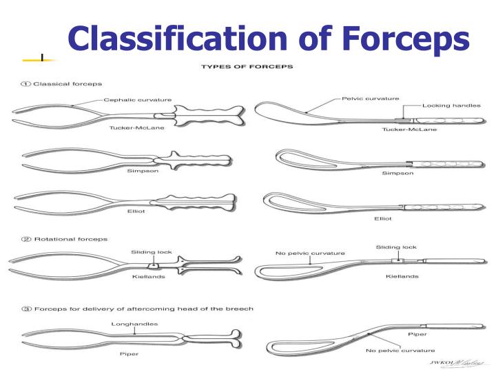 PPT - Operative Vaginal Delivery PowerPoint Presentation - ID:6621084