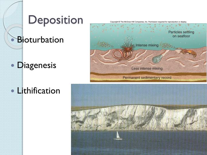PPT - Sedimentary Processes PowerPoint Presentation - ID:6622461