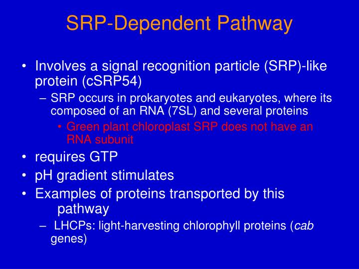 PPT - Targeting and assembly of proteins destined for chloroplasts and ...