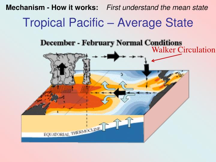 PPT - El Nino – Southern Oscillation (ENSO) 圣婴现象和南方涛动 Mechanism ...