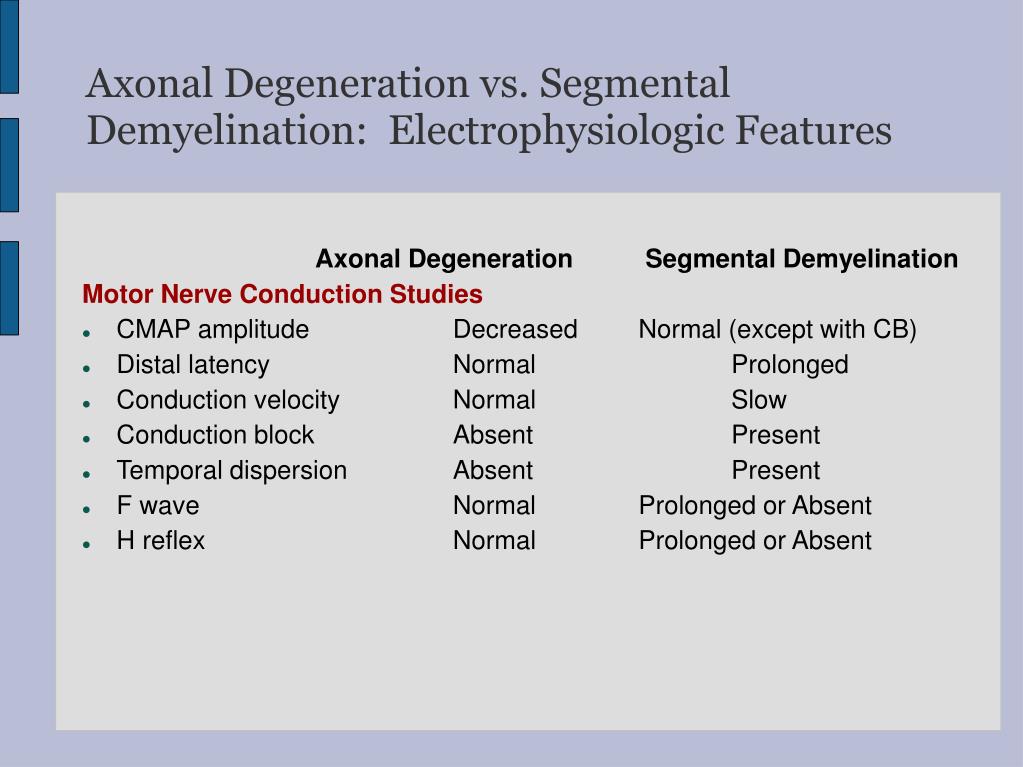 PPT - Introduction to EEG, EMG-NCV PowerPoint Presentation, free ... PPT - Introduction to EEG, EMG-NCV PowerPoint Presentation, free ...