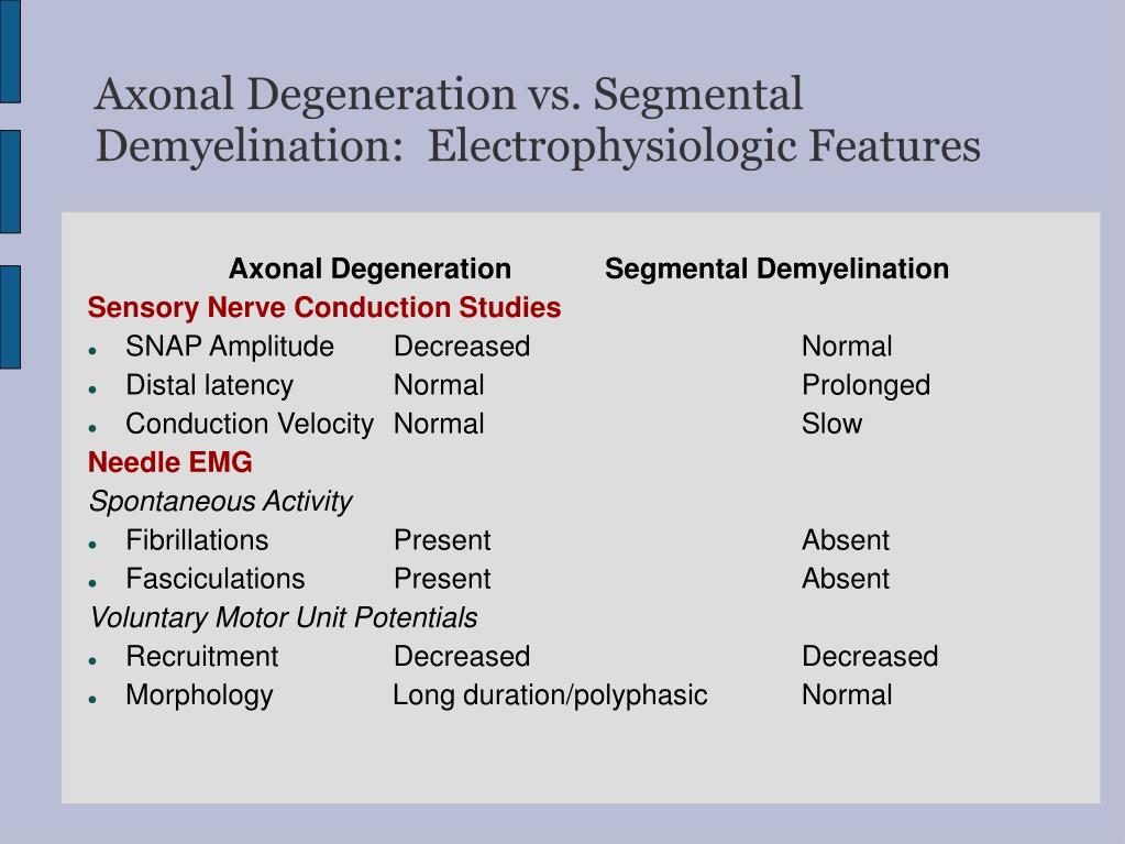PPT - Introduction to EEG, EMG-NCV PowerPoint Presentation, free ... PPT - Introduction to EEG, EMG-NCV PowerPoint Presentation, free ...