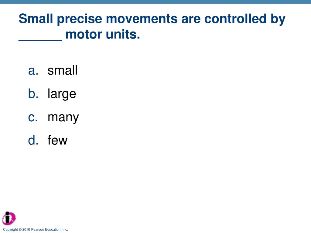 PPT - Muscles and Muscle Tissue PowerPoint Presentation, free download ...