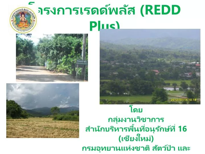 PPT - โครงการเรดด์พลัส ( REDD Plus ) PowerPoint Presentation - ID:6626535