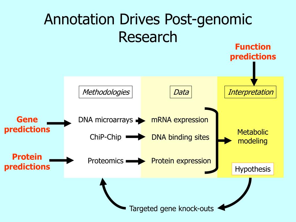 PPT - Automated Annotation of Microbial Genomes, Opportunities and ... PPT - Automated Annotation of Microbial Genomes, Opportunities and ...