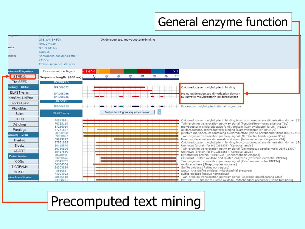PPT - Automated Annotation of Microbial Genomes, Opportunities and ... PPT - Automated Annotation of Microbial Genomes, Opportunities and ...