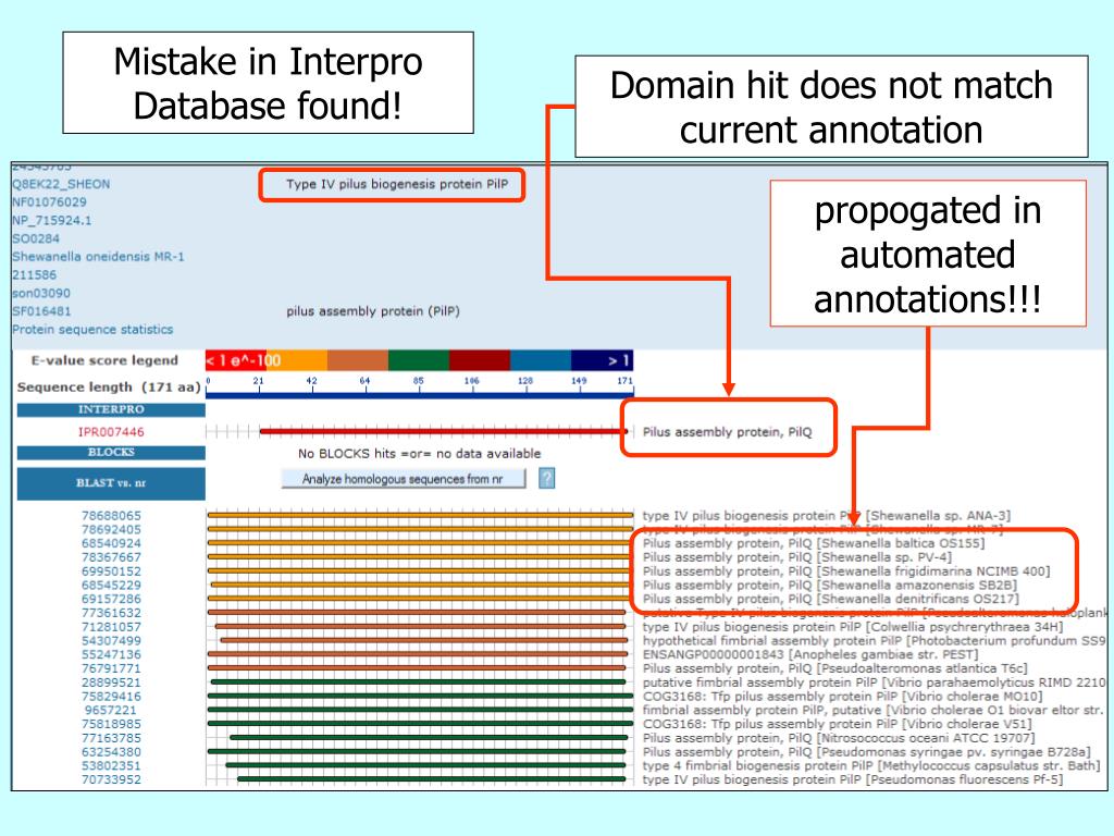 PPT - Automated Annotation of Microbial Genomes, Opportunities and ... PPT - Automated Annotation of Microbial Genomes, Opportunities and ...