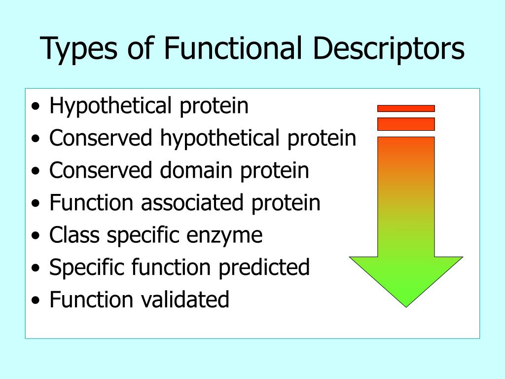 PPT - Automated Annotation of Microbial Genomes, Opportunities and ... PPT - Automated Annotation of Microbial Genomes, Opportunities and ...
