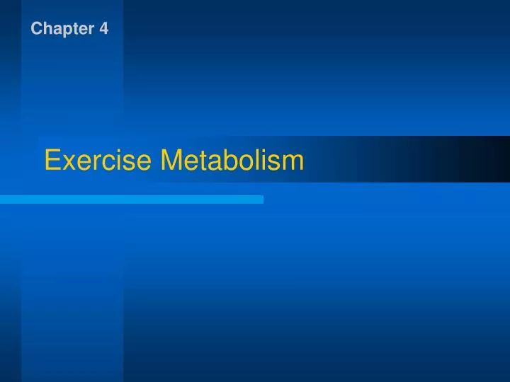 PPT - Exercise Metabolism PowerPoint Presentation, free download - ID ...