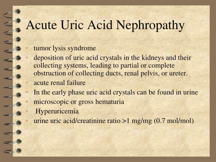 PPT - Tubulointristitial Nephritis PowerPoint Presentation - ID:6629083
