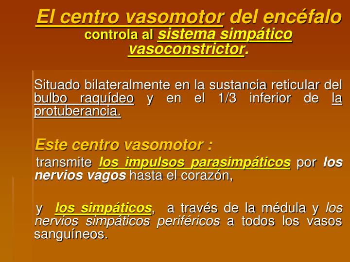 PPT - REGULACION NERVIOSA DE LA CIRCULACIÓN Y CONTROL RÁPIDO DE LA ...