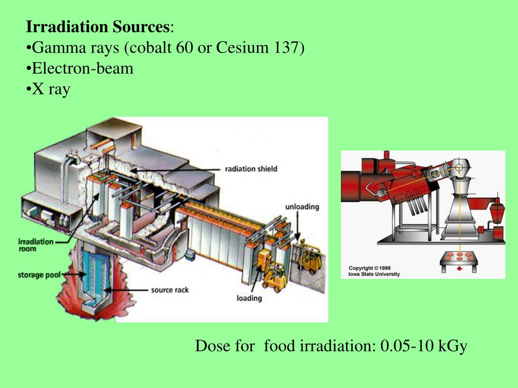 PPT - FOOD IRRADIATION Maria del Pilar Solano, M.D. April 29, 2003 ...