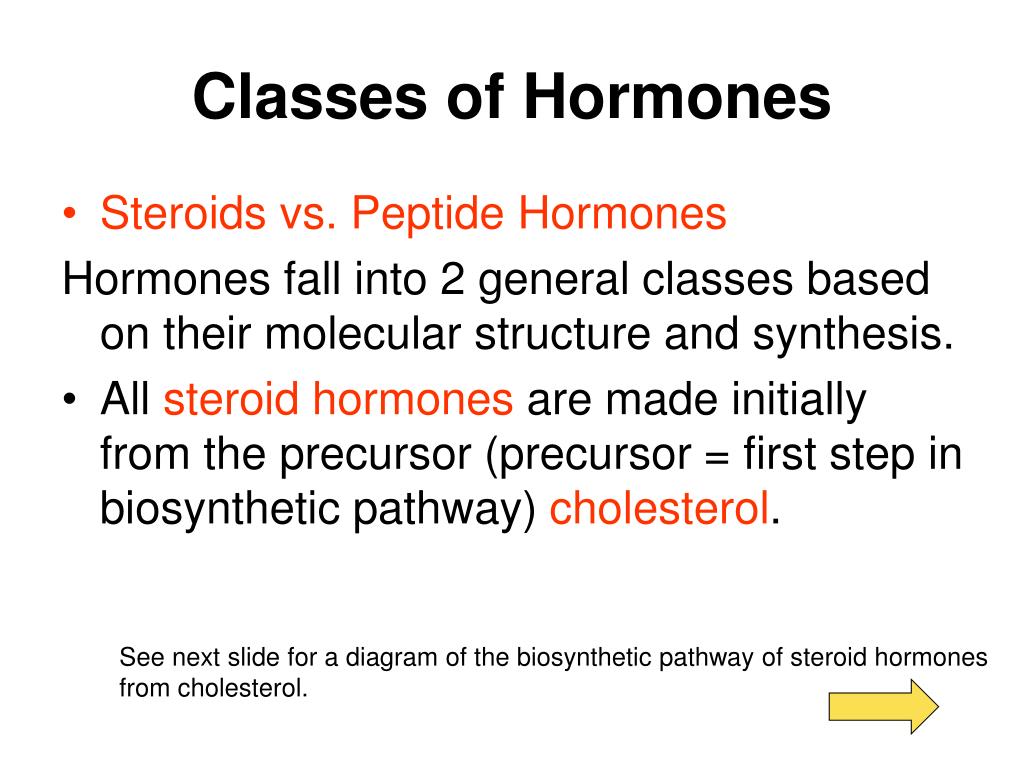 PPT - ENDOCRINOLOGY The scientific study of the endocrine glands and ...