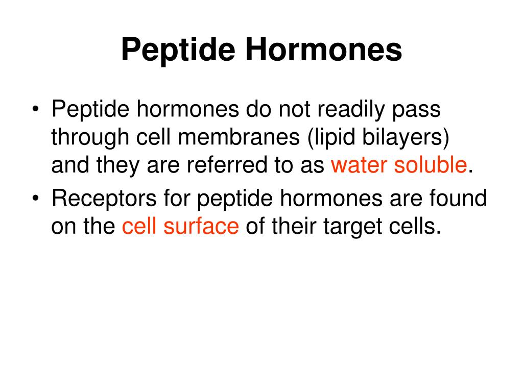 PPT - Fundamentals of Endocrinology: The Science of Hormones PowerPoint ...
