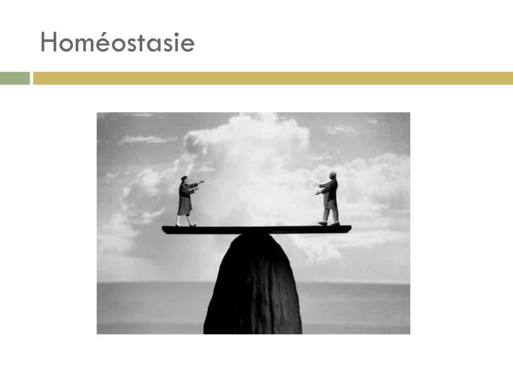 PPT - Corps humain 1 Chapitre 1: L’ homéstasie PowerPoint Presentation ...