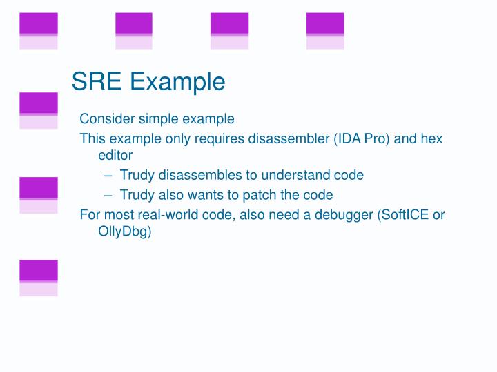 PPT - Computer Science 654 Lecture 5: Software Reverse Engineering ...
