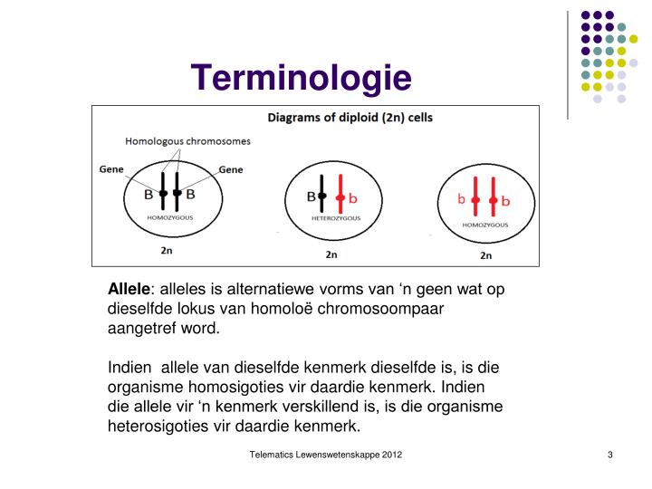 PPT - Terminologie PowerPoint Presentation - ID:6634748